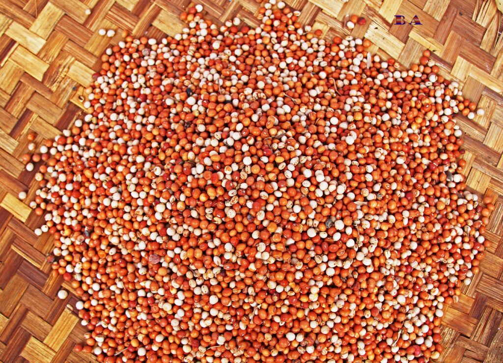 Pois Congo Haïti 20kg : Haiti Transfert